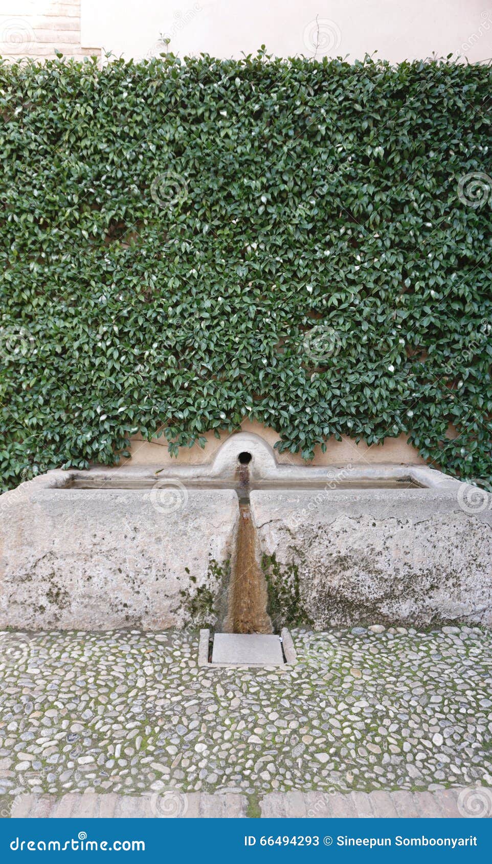 Small Well with Plants Background Stock Image - Image of pebble, pond ...