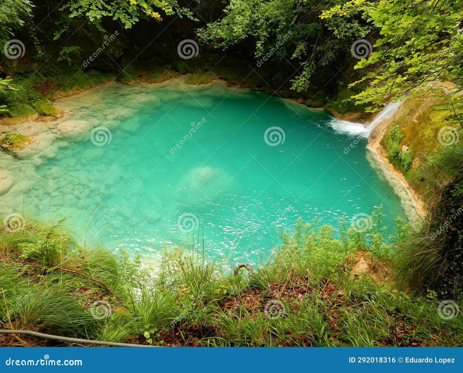 Small Well of Transparent Waters. Stock Photo - Image of forest ...