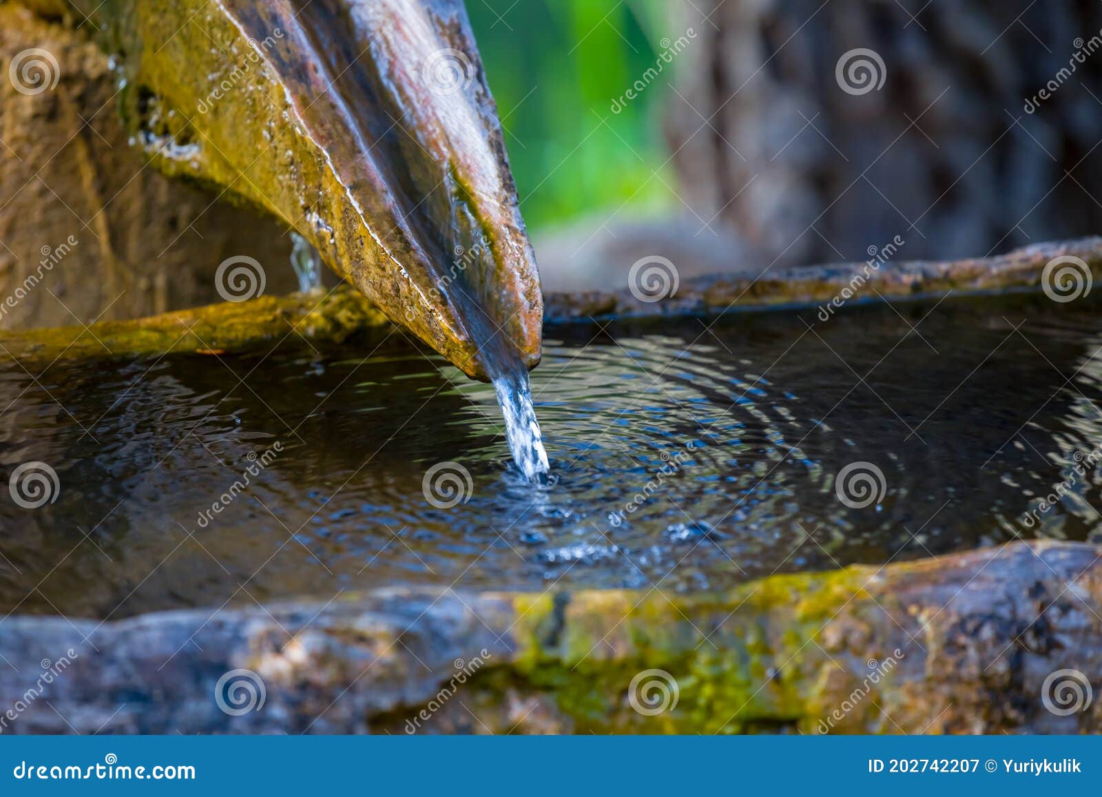 Wellspring With Small Cascades At Tara Mountain And National Park ...