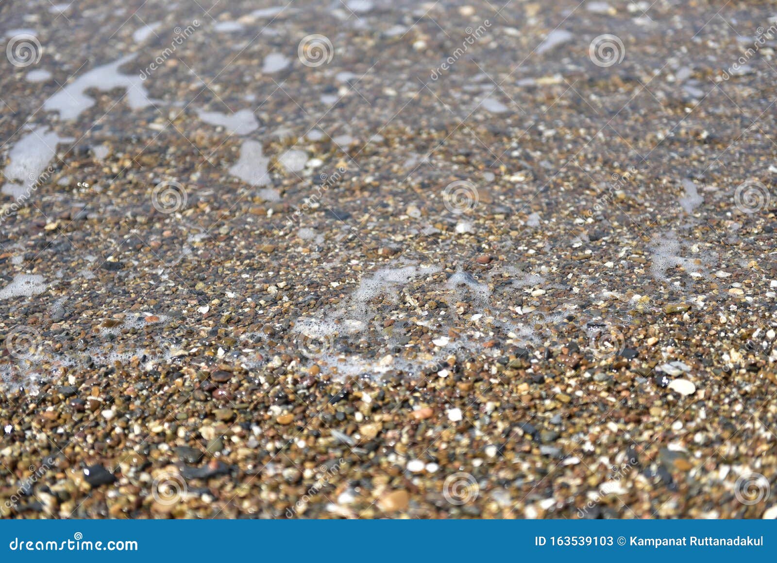 Small wet rocks by the sea stock image. Image of surface - 163539103