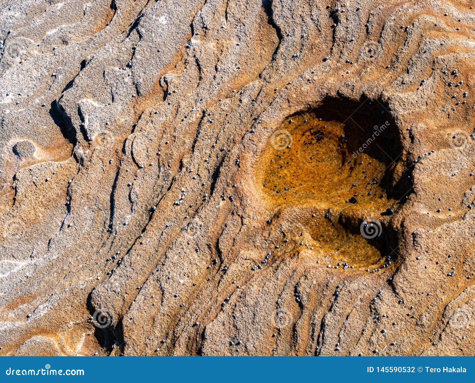 Small Whelks and a Round Rock Formation on a Beach Stock Photo - Image ...