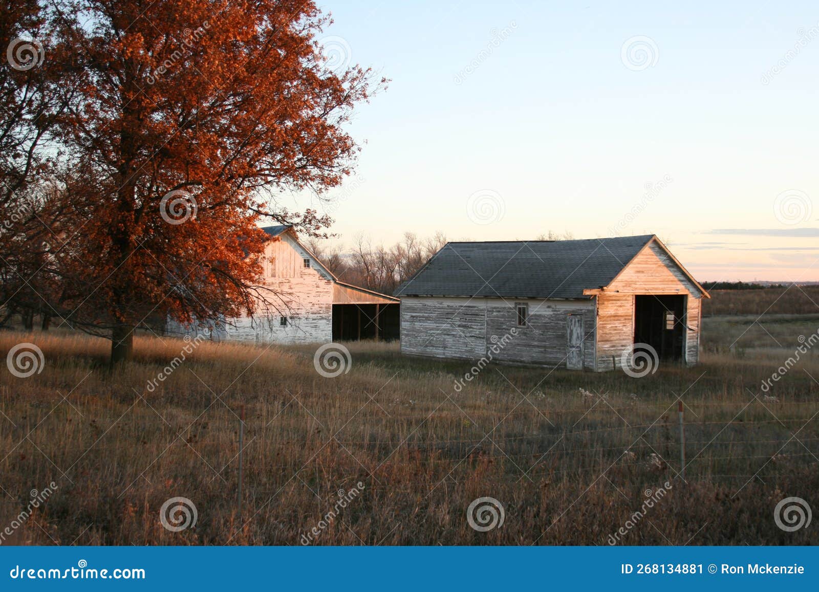 Disappearing from Our Landscape Stock Image - Image of wood, stable: 268134881