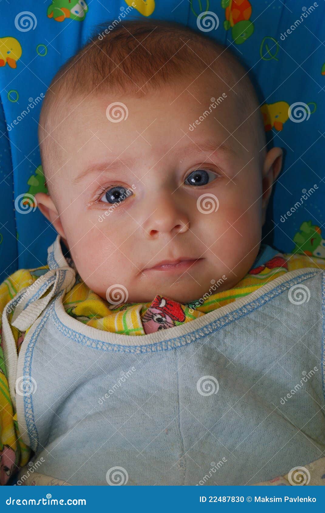 Small white boy stock photo. Image of happy, people, portrait - 22487830