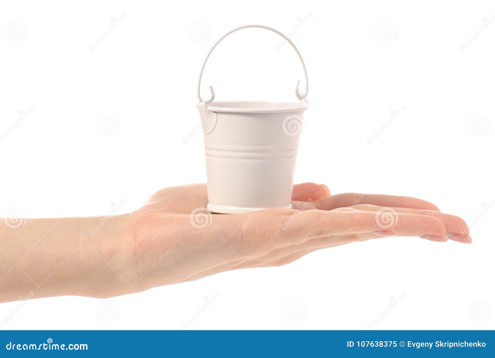 Small white bucketin hand stock image. Image of design - 107638375