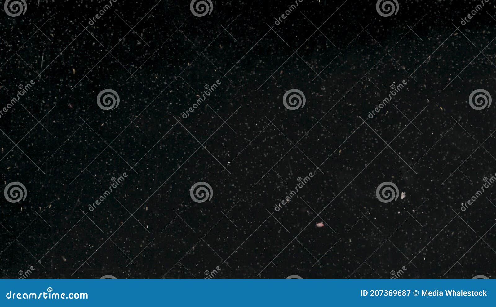 Small White Dust Particles Floating Slowly Underwater on Black ...