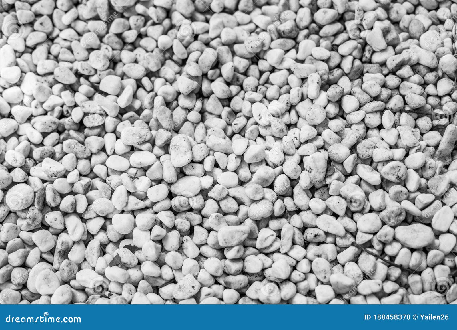 Small White Pebble Rocks Background Stock Photo - Image of concrete ...