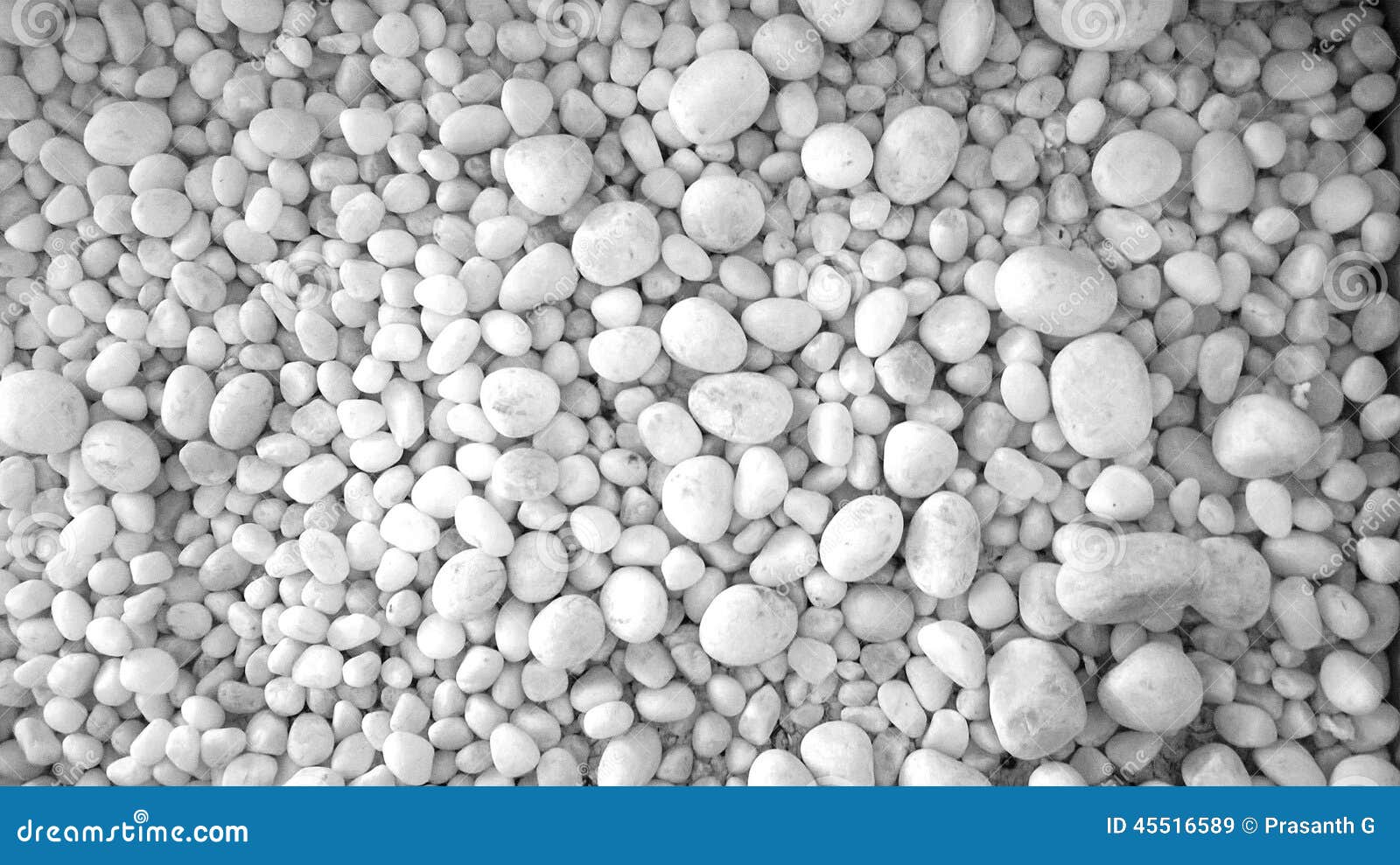 White Pebbles Stone Texture Background Stock Photography ...