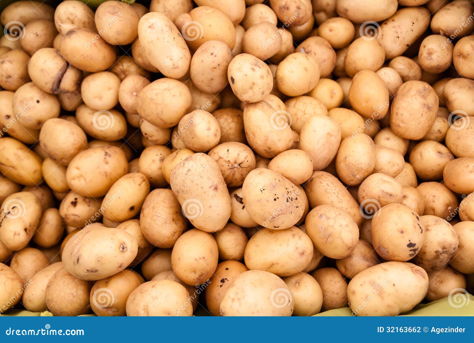 Small white potatoes stock photo. Image of market, mother - 32163662