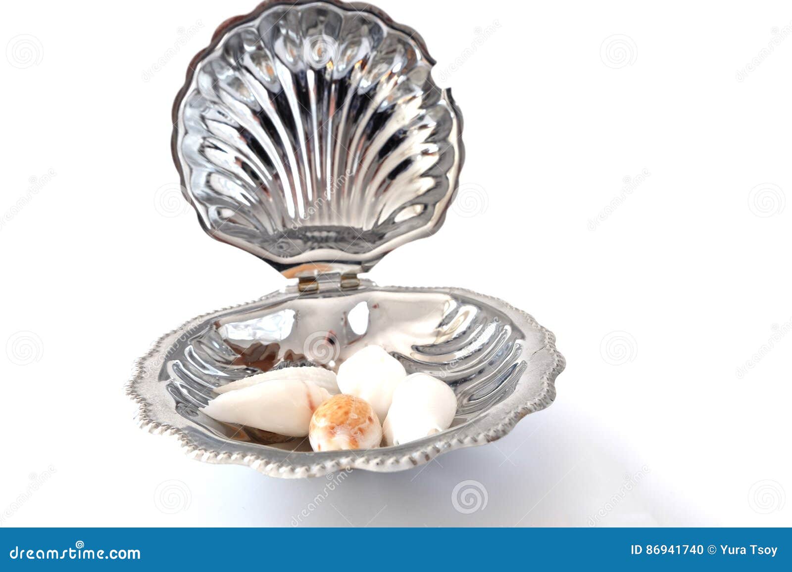 Small White Shells in a Large Shell on a White Background Stock Photo ...