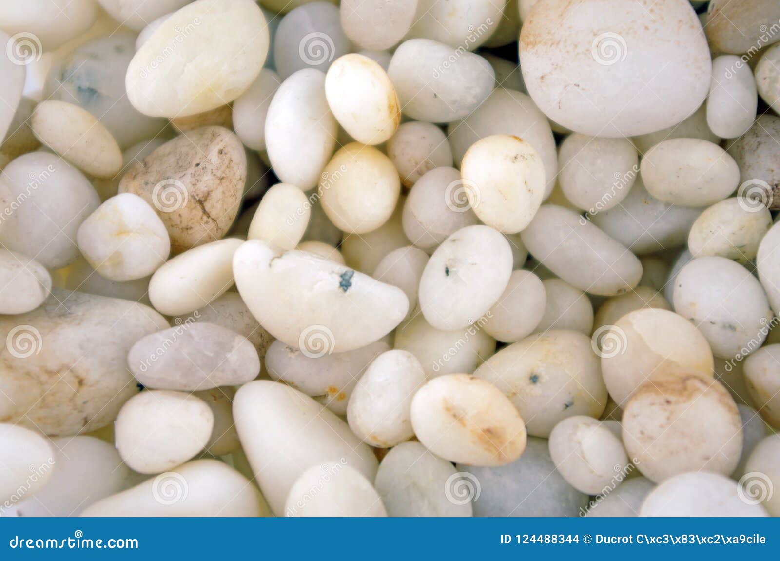 Small white stones stock photo. Image of decoration - 124488344