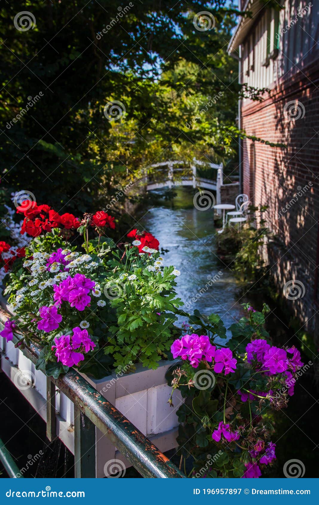 Flowers on the River Bridge Stock Image - Image of pink, grass: 196957897