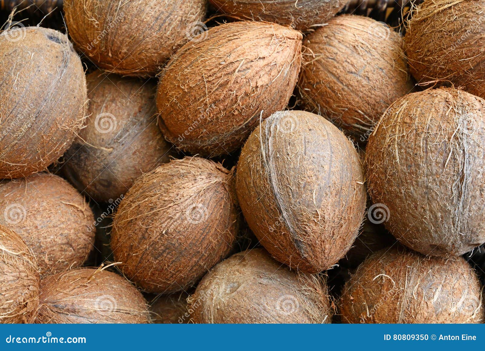 Small Whole Brown Coconuts on Retail Market Stock Photo - Image of ...