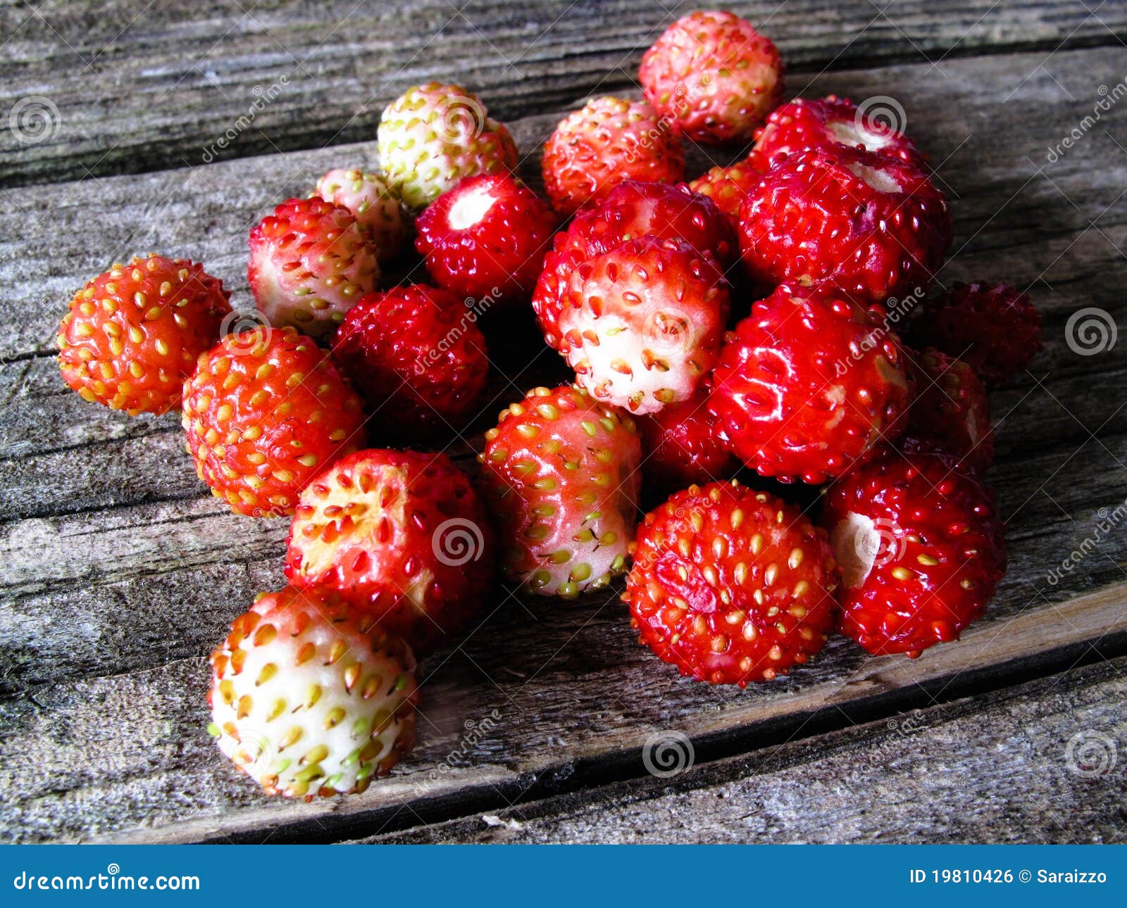 Small wild strawberry stock photo. Image of beauty, organic - 19810426