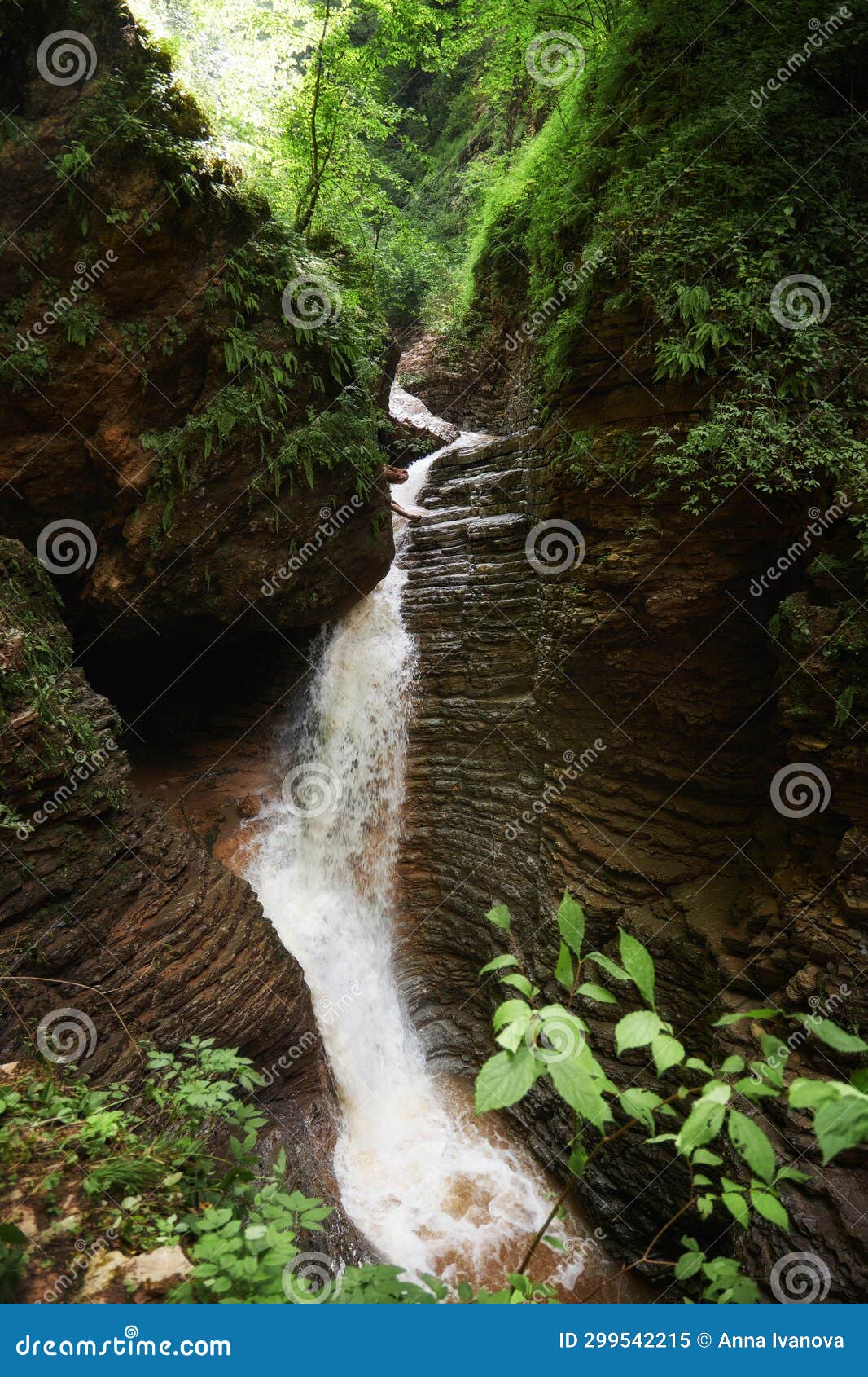 Small Wild Waterfall in Jungle, a Mountain River in Forest, Summer ...