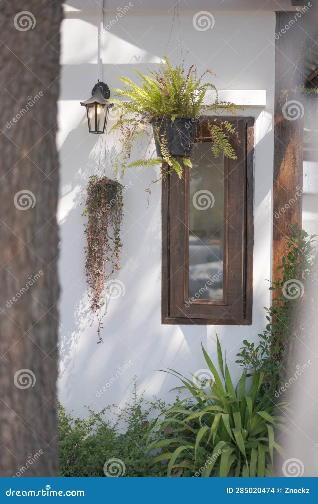 Small Window and Plants on the Walls for Home Decoration Stock Photo ...