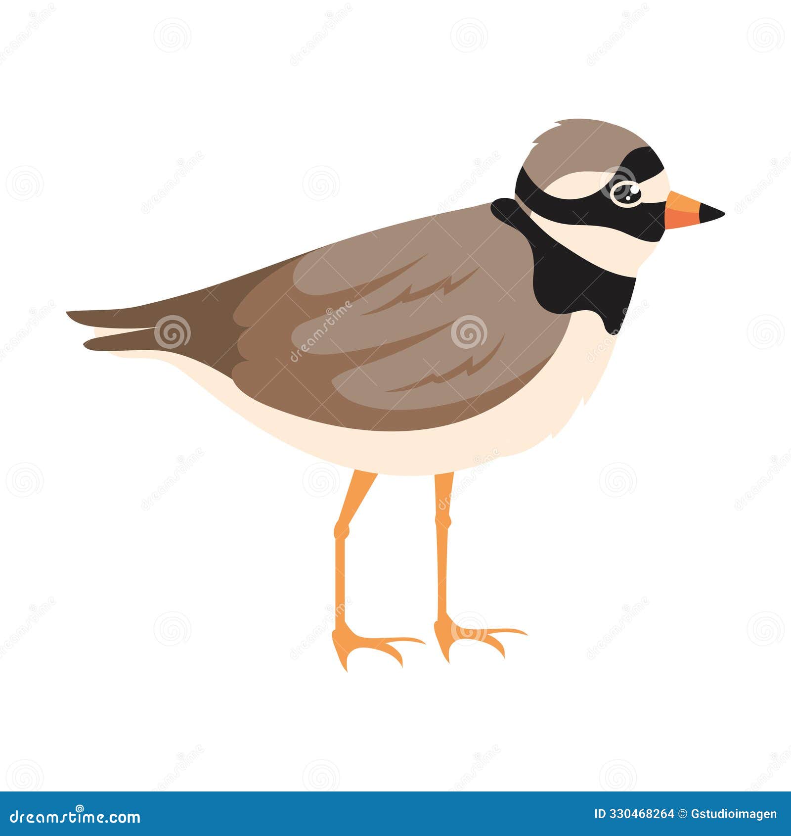 Small winged shorebird stock illustration. Illustration of isolation ...