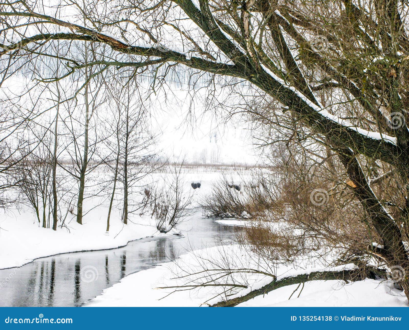 Small winter forest river stock photo. Image of deciduous - 135254138