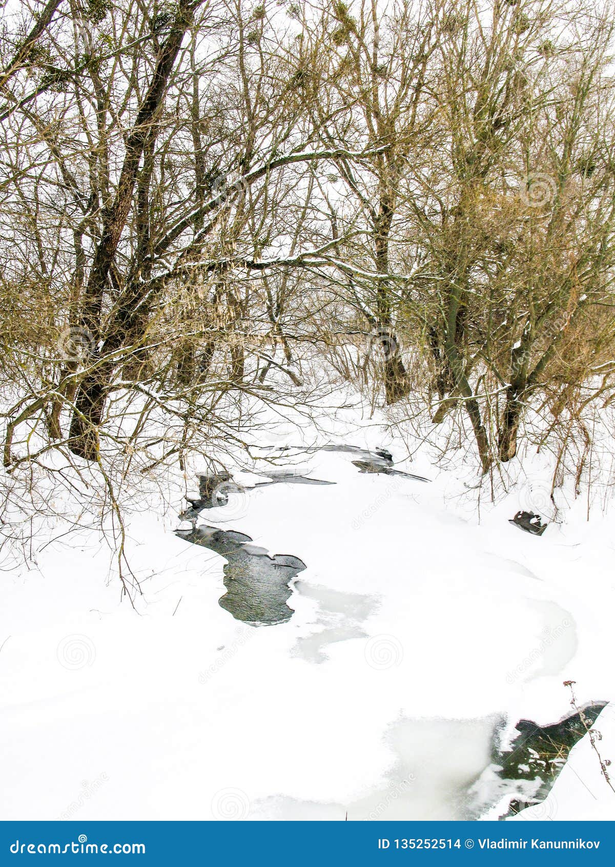 Small winter forest river stock photo. Image of nature - 135252514