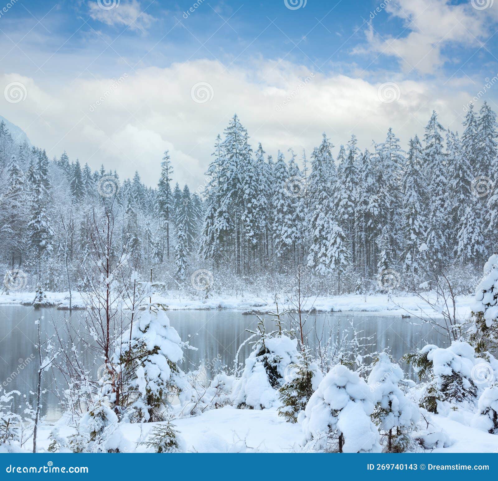 Small Winter Stream with Snowy Trees Stock Image - Image of river ...