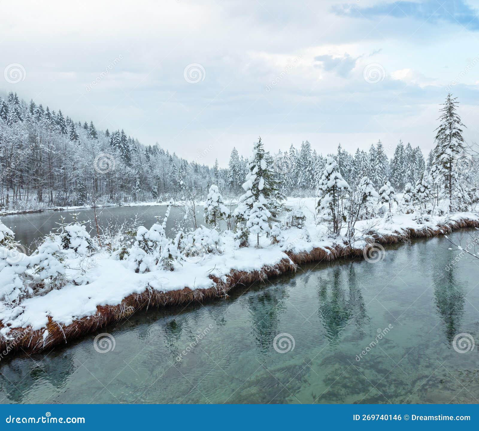 Small Winter Stream with Snowy Trees Stock Photo - Image of river, pond ...