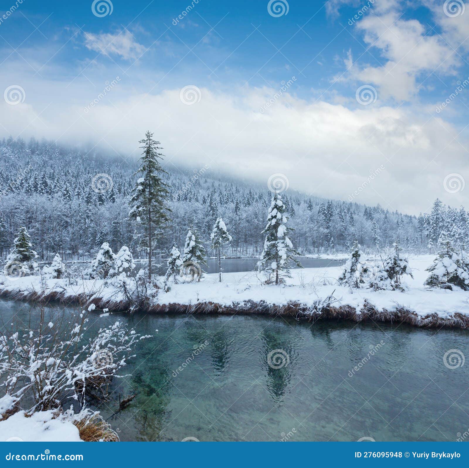 Small Winter Stream with Snowy Trees Stock Photo - Image of nature ...