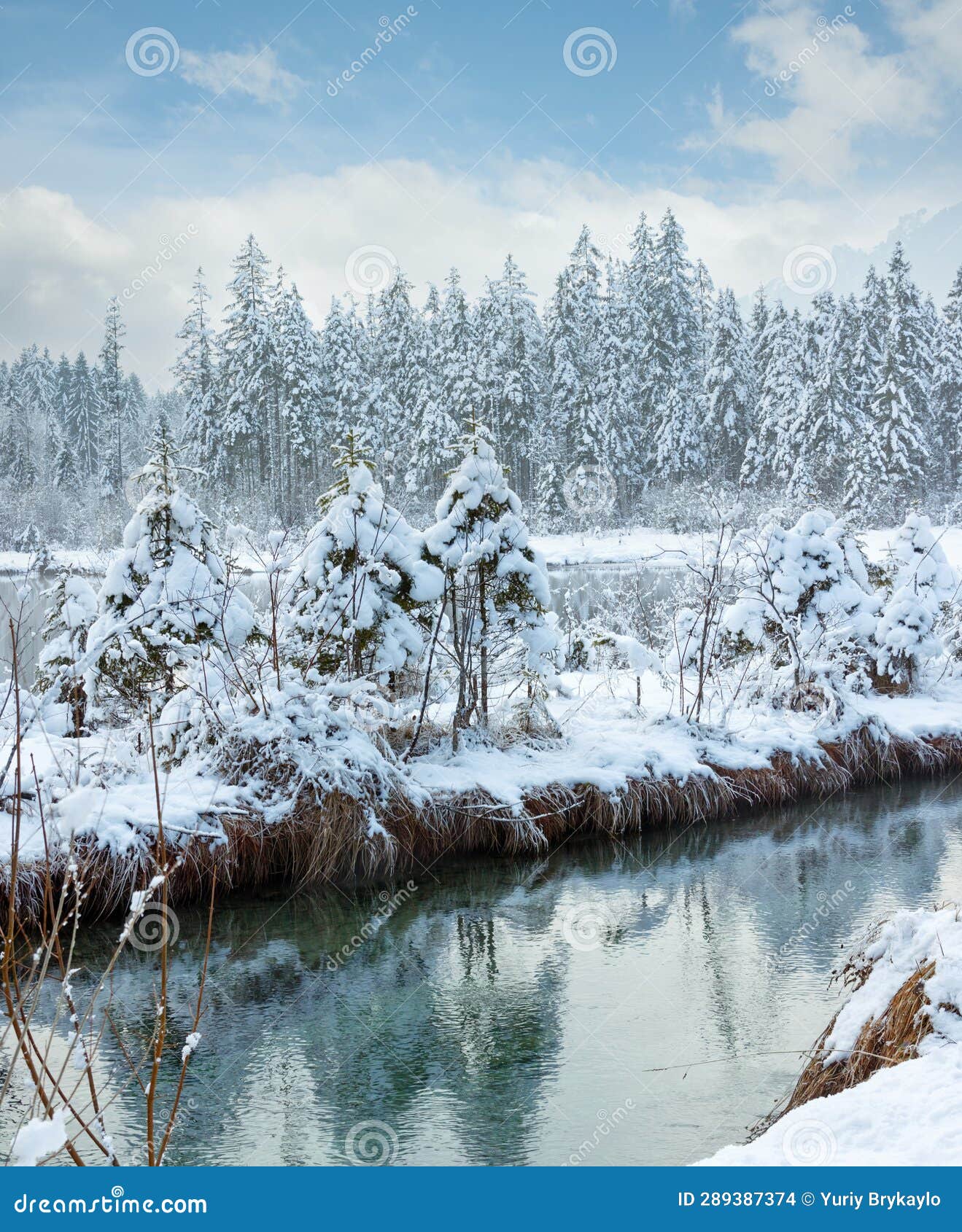 Small Winter Stream with Snowy Trees Stock Photo - Image of reflection ...