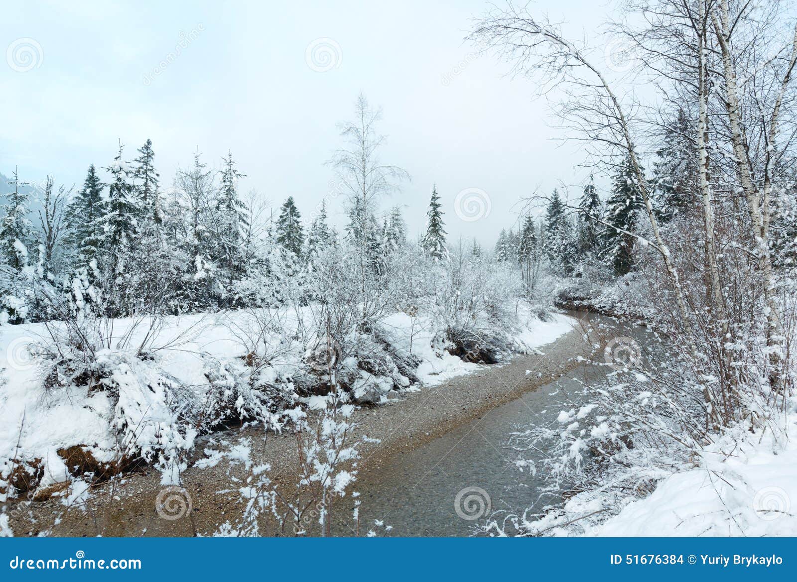 Small Winter Stream with Snowy Trees. Stock Photo - Image of water ...