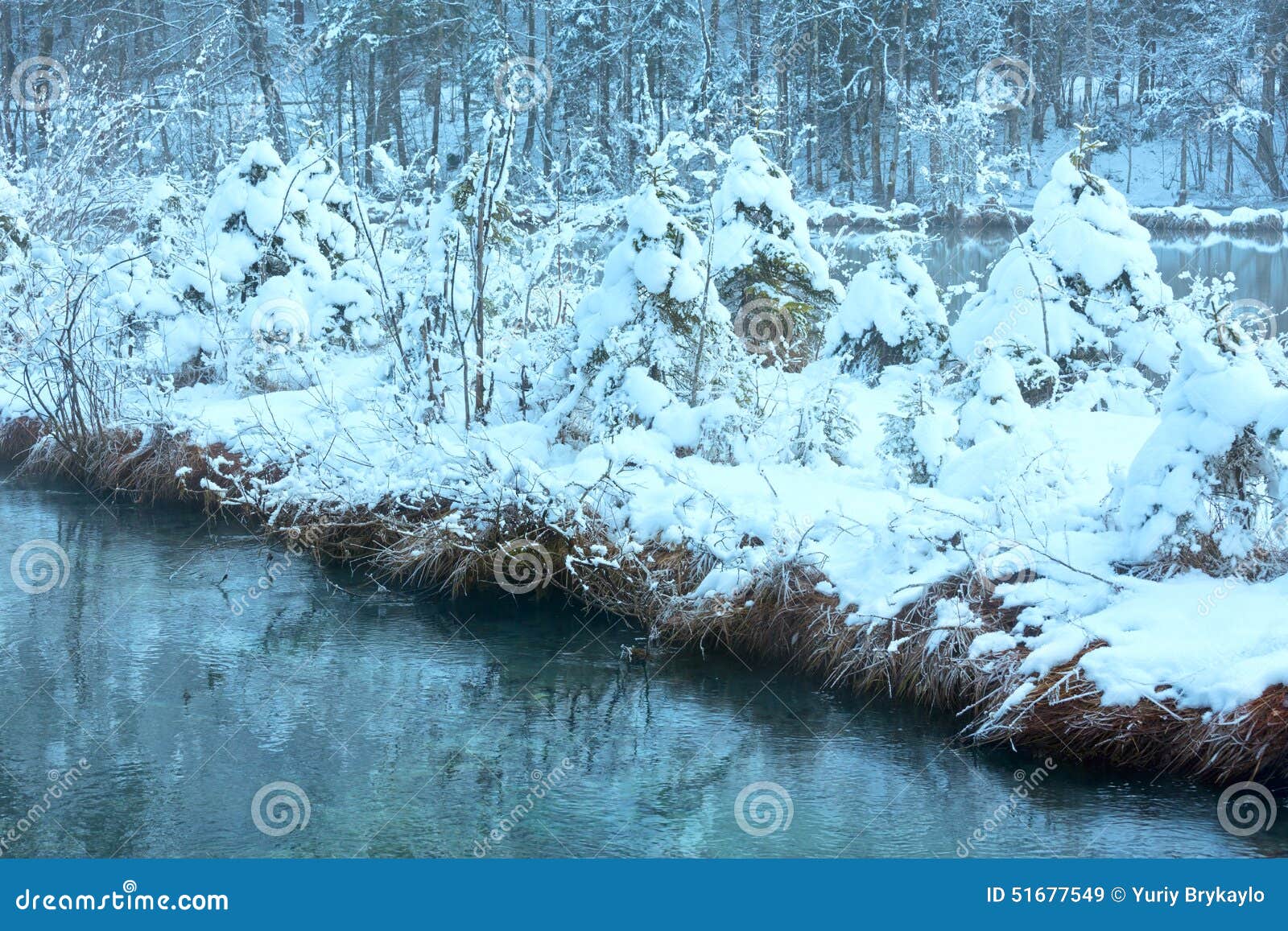 Small Winter Stream with Snowy Trees. Stock Image - Image of surface ...