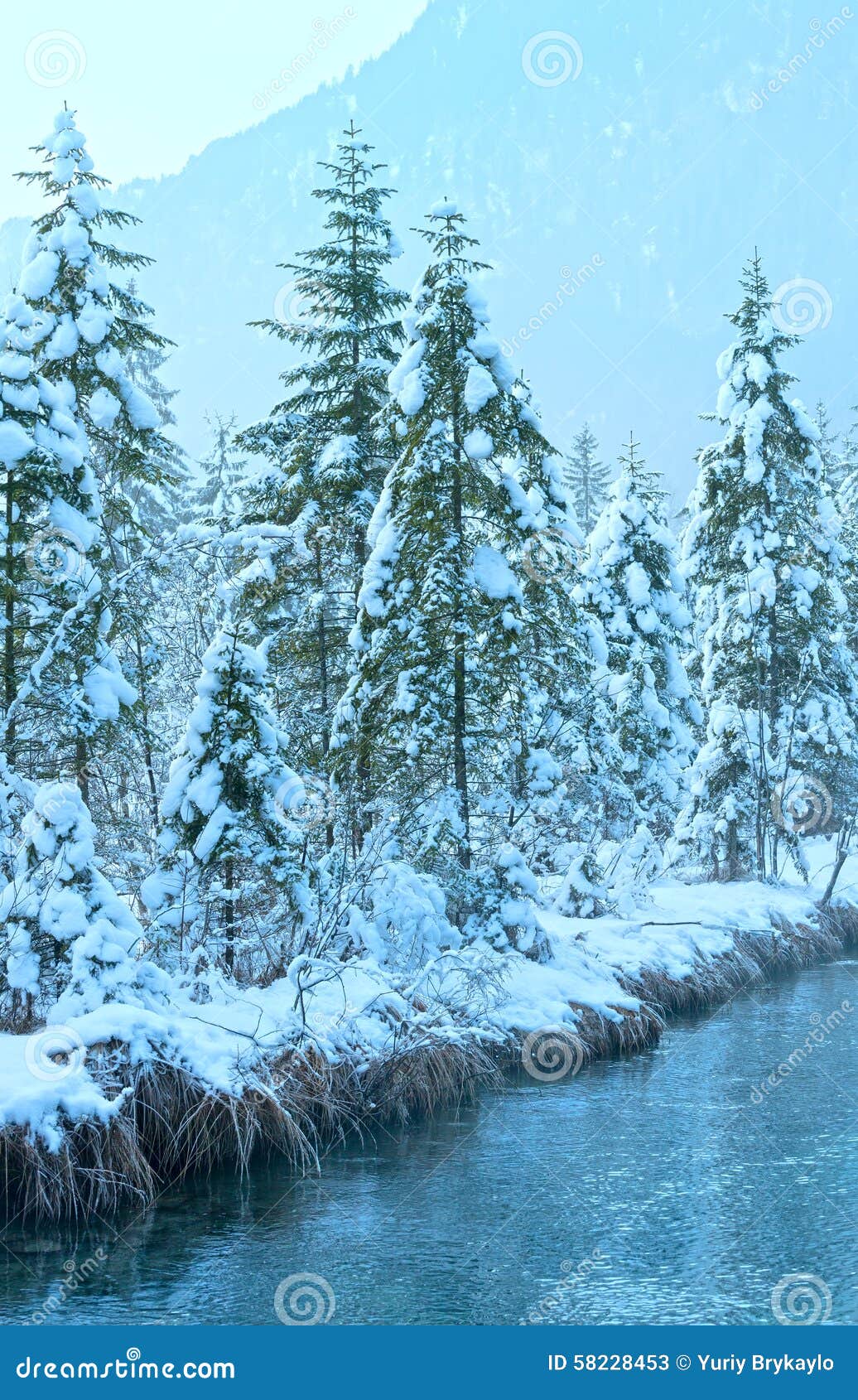 Small Winter Stream with Snowy Trees. Stock Image - Image of surface ...