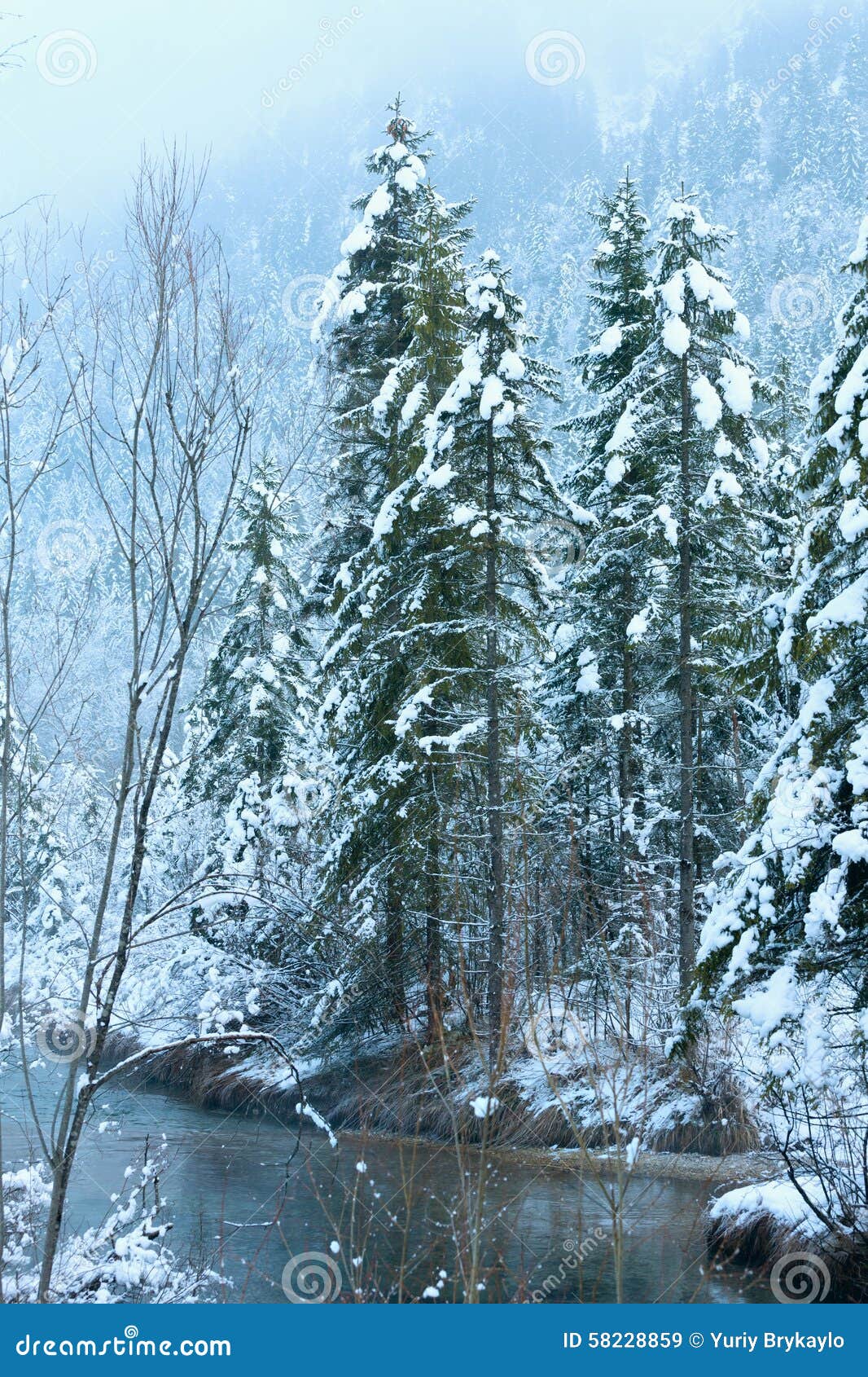 Small Winter Stream with Snowy Trees. Stock Image - Image of season ...