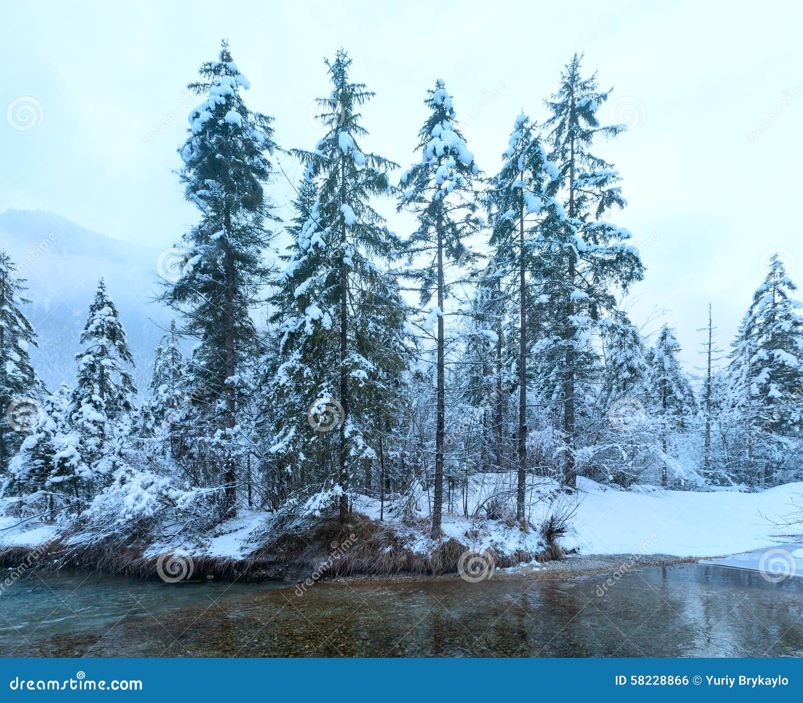 Small Winter Stream with Snowy Trees. Stock Photo - Image of nature ...