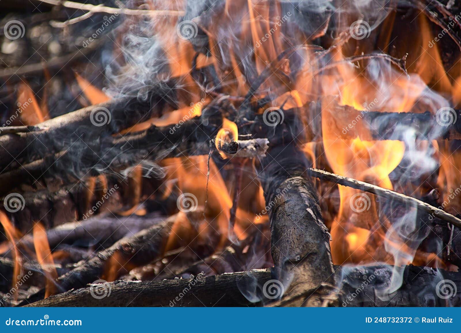 A Small Wood Fire in the Field Stock Photo - Image of black, motion ...