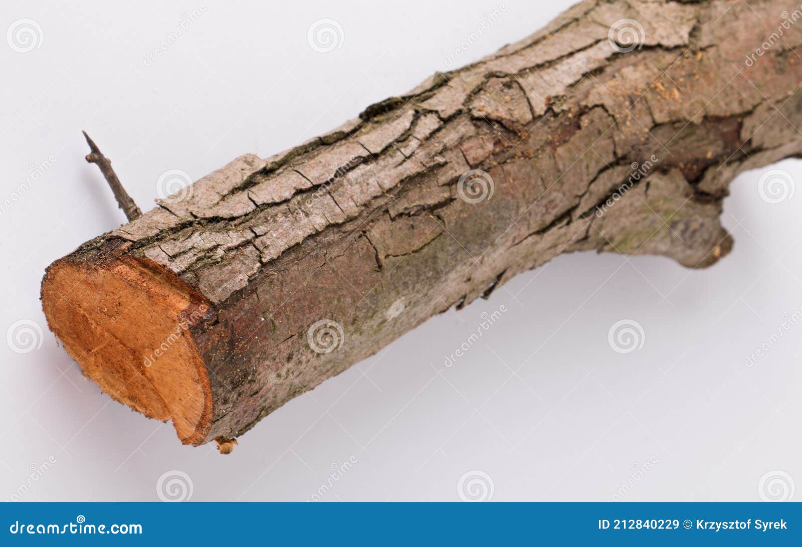 Small Wood Log Prepared To Burn in a Fireplace Stock Image - Image of ...