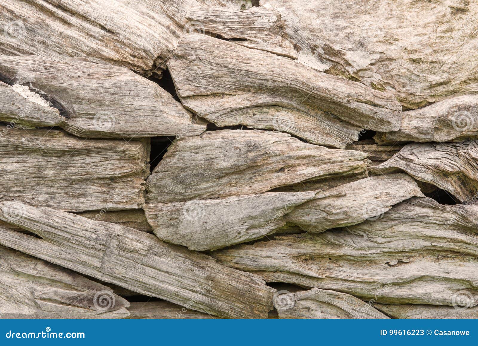 Small Wood Textures Natural Patterns for Background Stock Image - Image ...