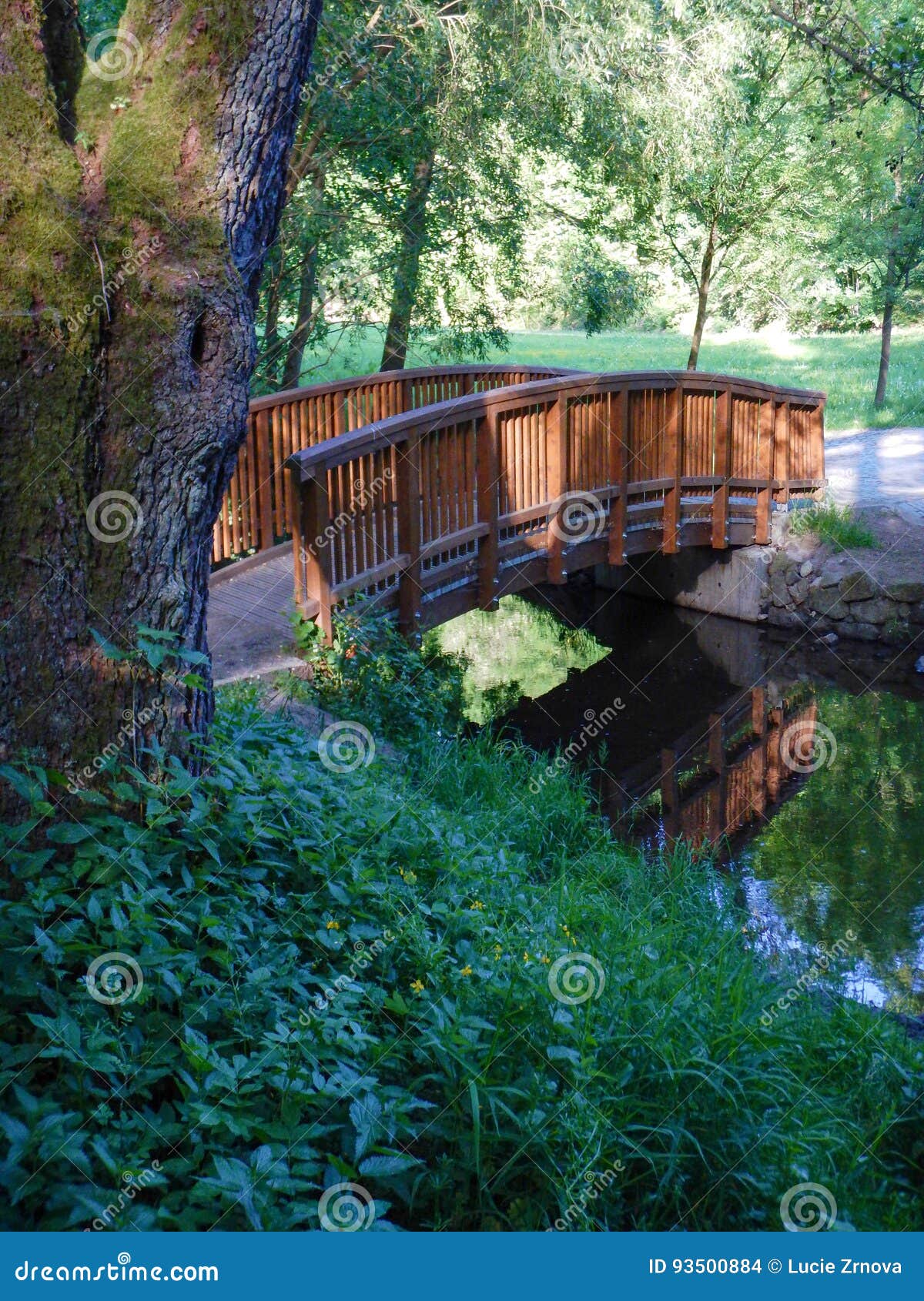 Small Wooden Arch Bridge in a Park Stock Photo - Image of mirror ...