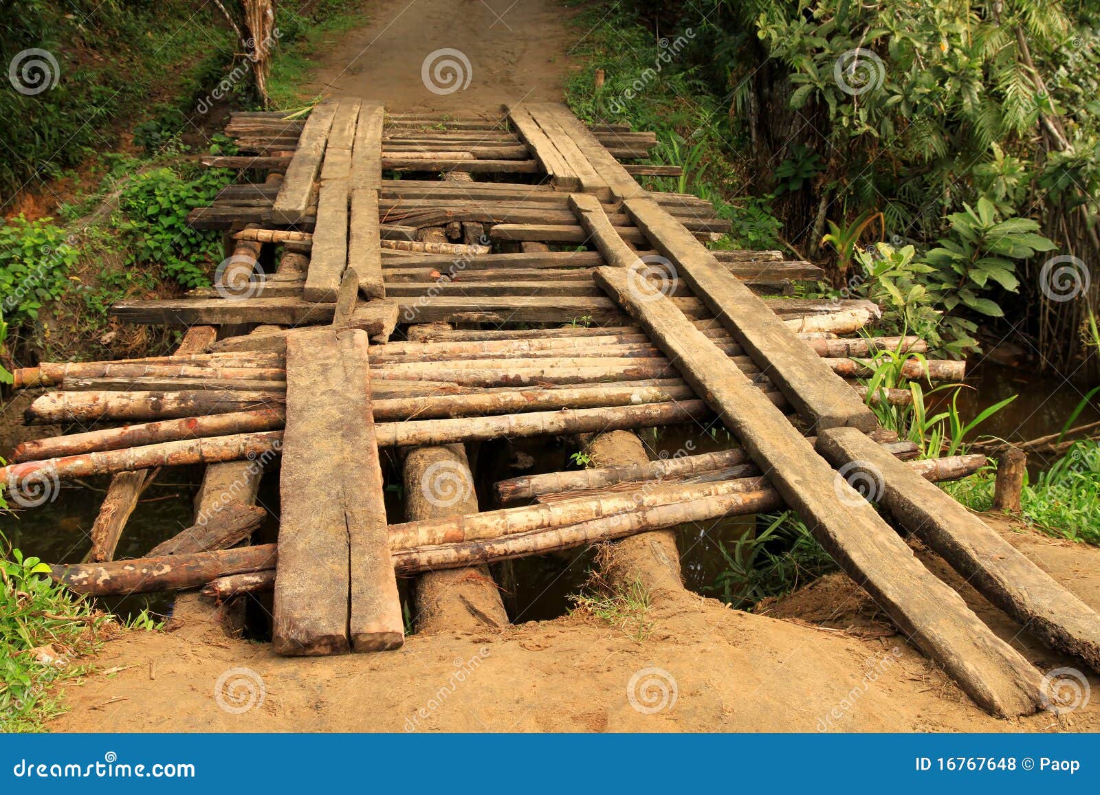 Small wooden bridge stock photo. Image of flora, maroantsetra - 16767648