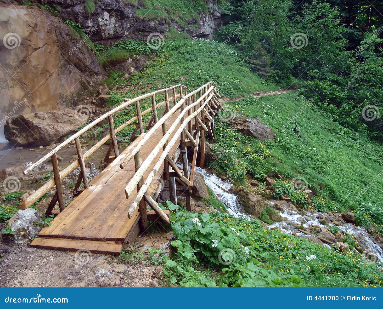 Small wooden bridge stock photo. Image of relax, recreation - 4441700
