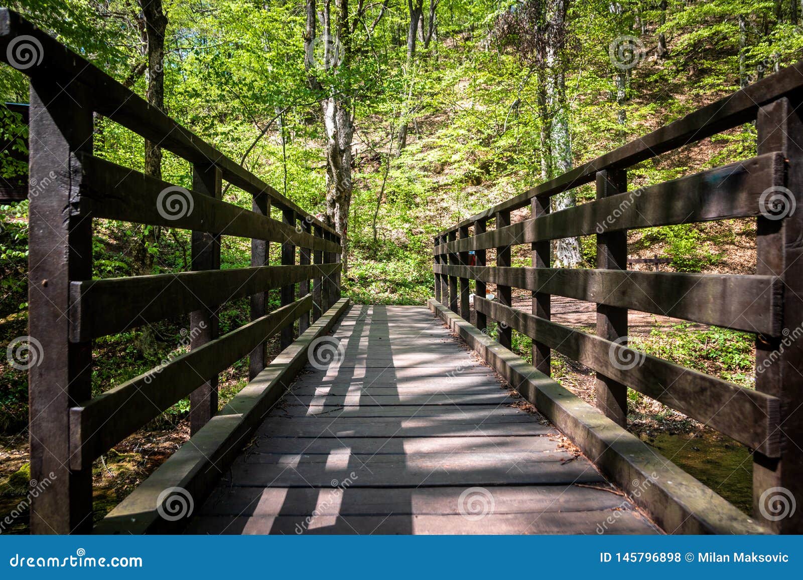 Small wooden bridge stock photo. Image of park, nature - 145796898