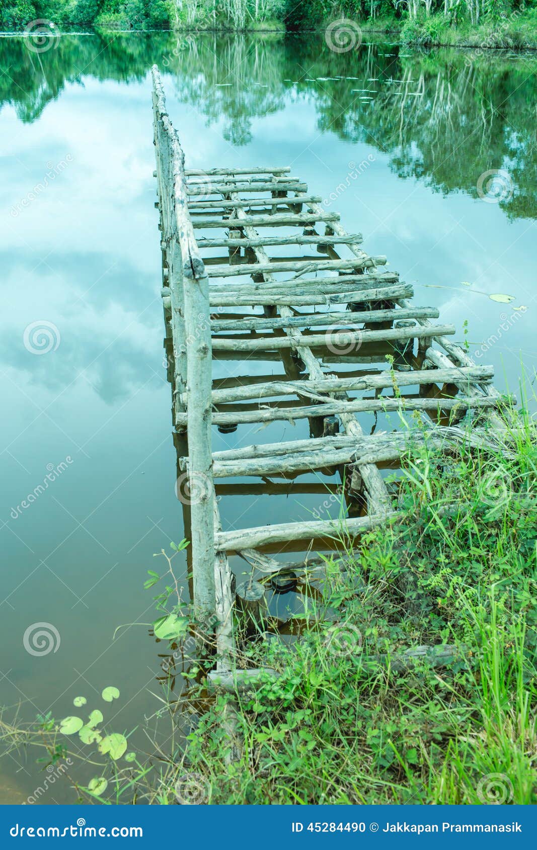 Small Wooden Bridge in Lake with Reflection of Trees Stock Photo ...