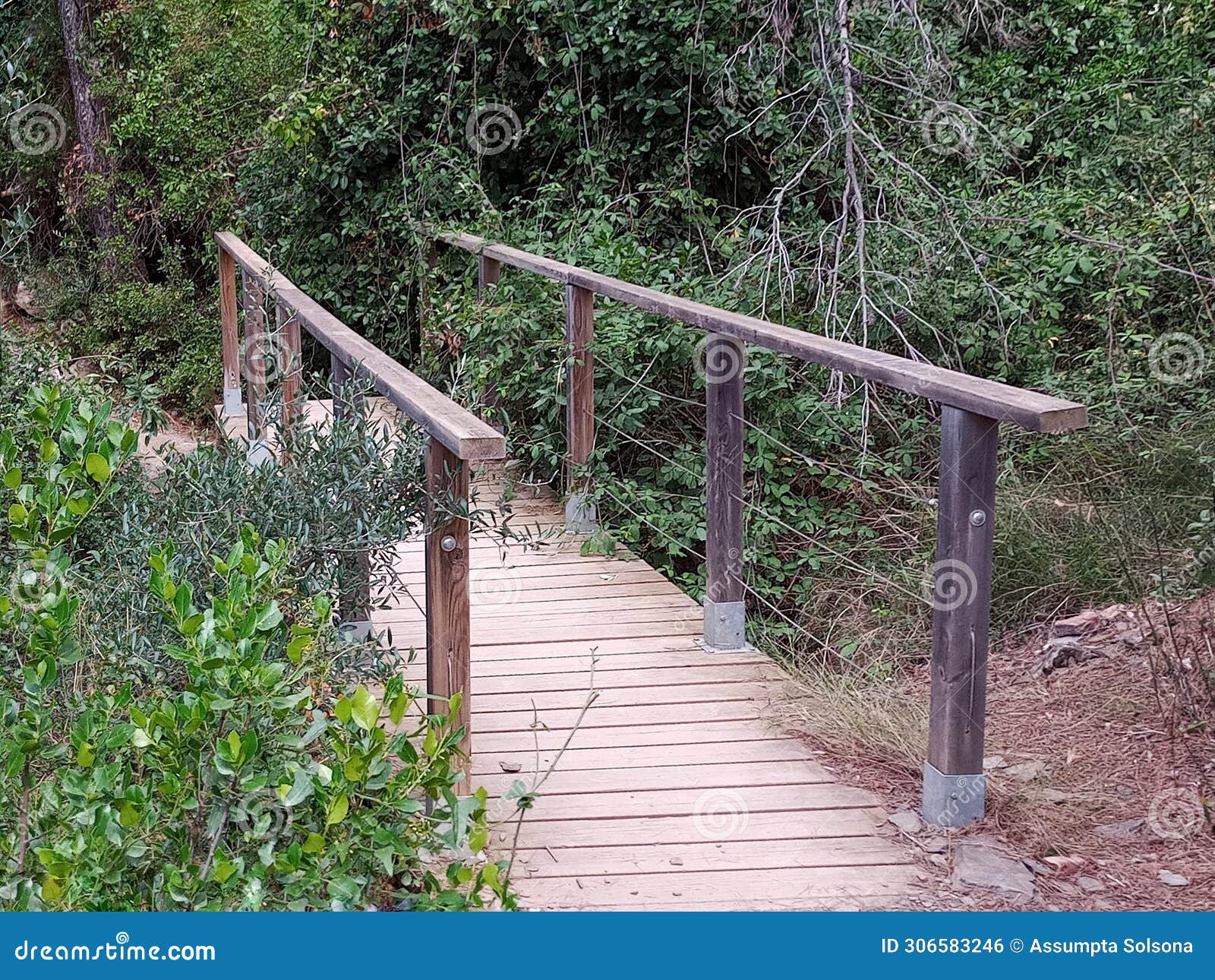 Small Wooden Bridge with Vegetation. Stock Photo - Image of wooden ...