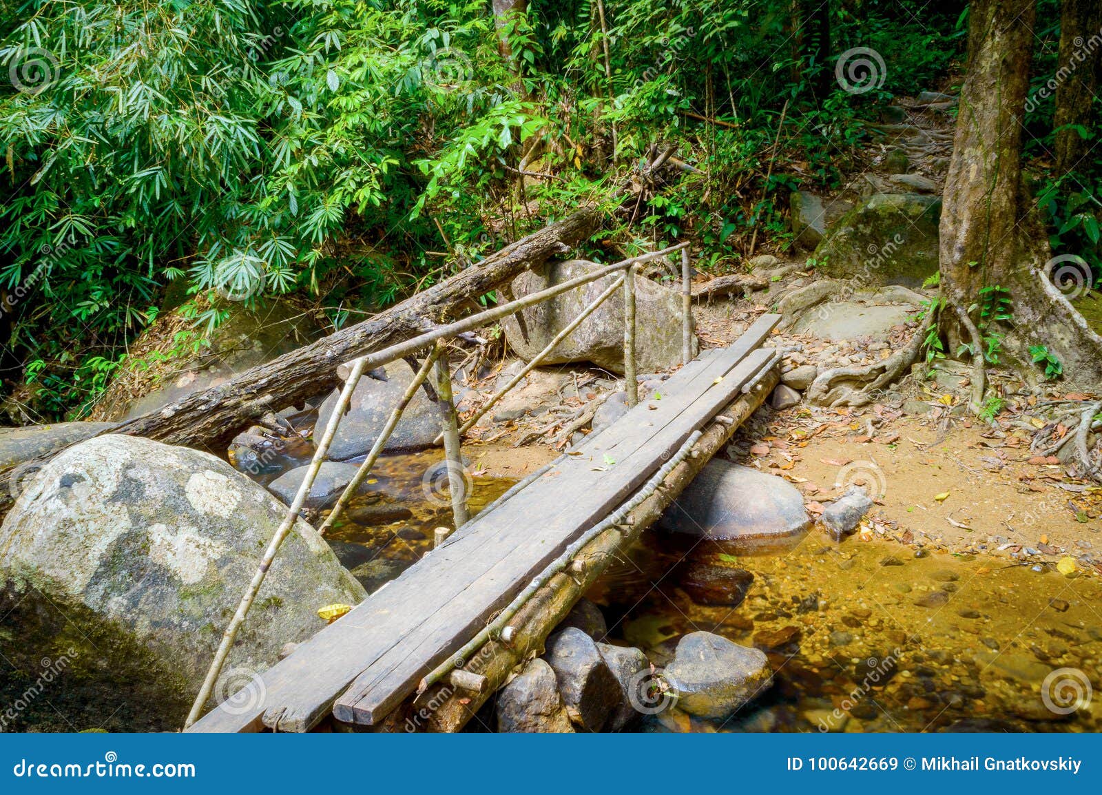 A Small Wooden Bridge Over a Creek in the Forest Stock Image - Image of ...