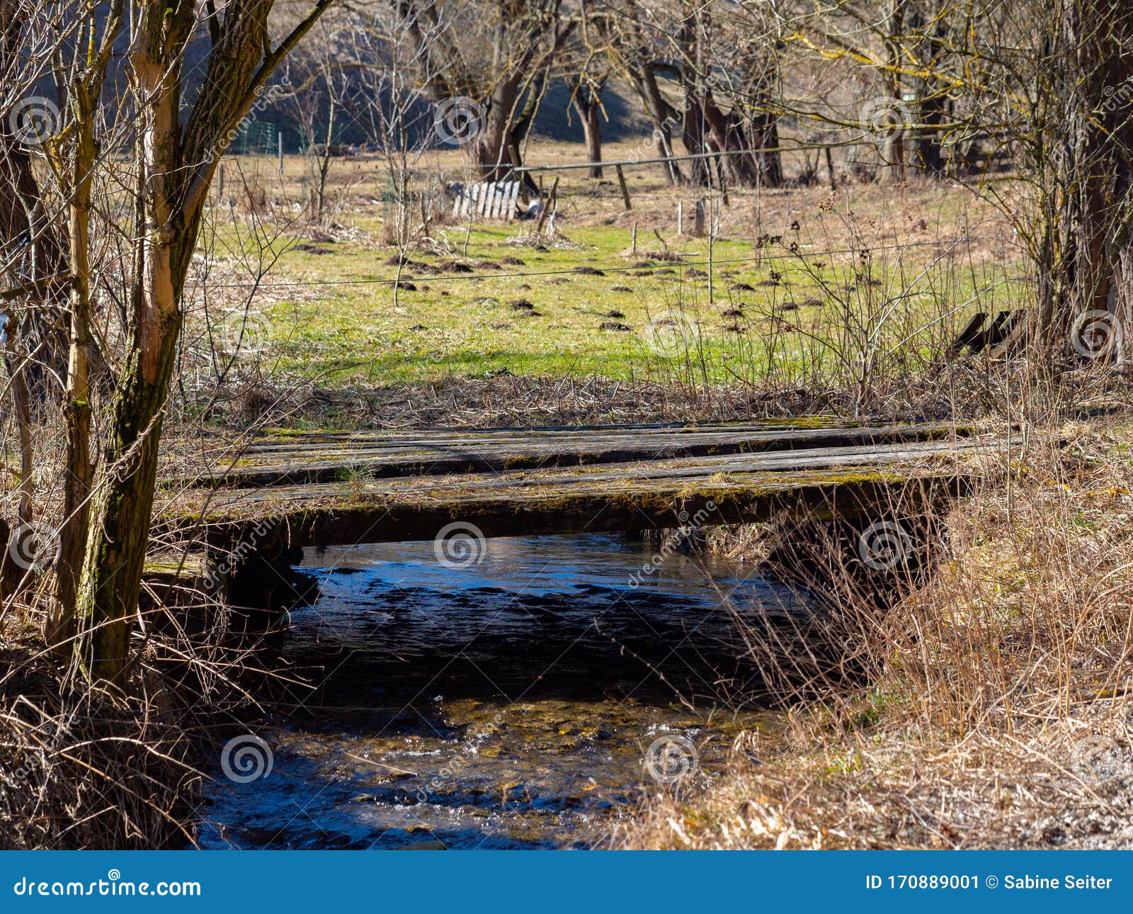 Small Wooden Bridge Over a Creek in Spring Stock Image - Image of brook ...
