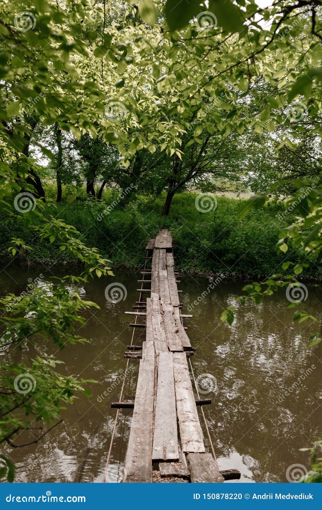 A Small Wooden Bridge Over a Mild Stream in a Green Park. Stock Photo ...