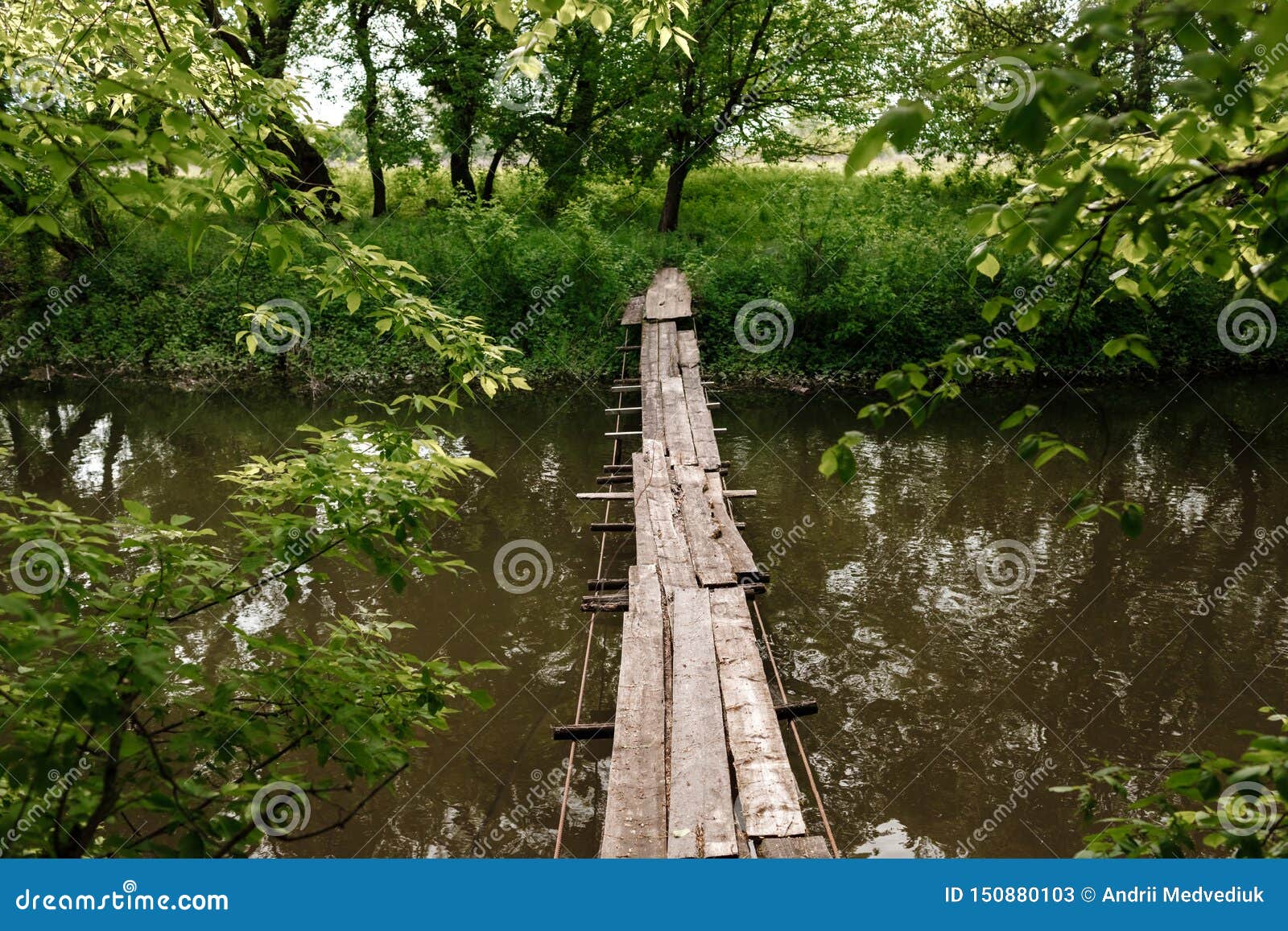 A Small Wooden Bridge Over a Mild Stream in a Green Park. Stock Image ...