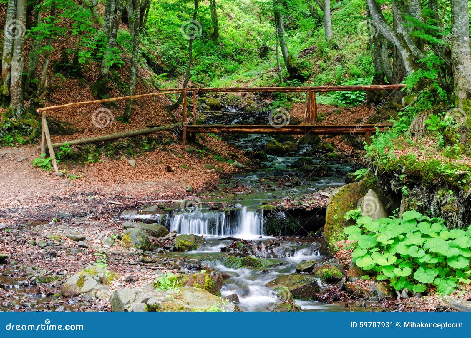A Small Wooden Bridge Over a Mountain River Stock Image - Image of wood ...