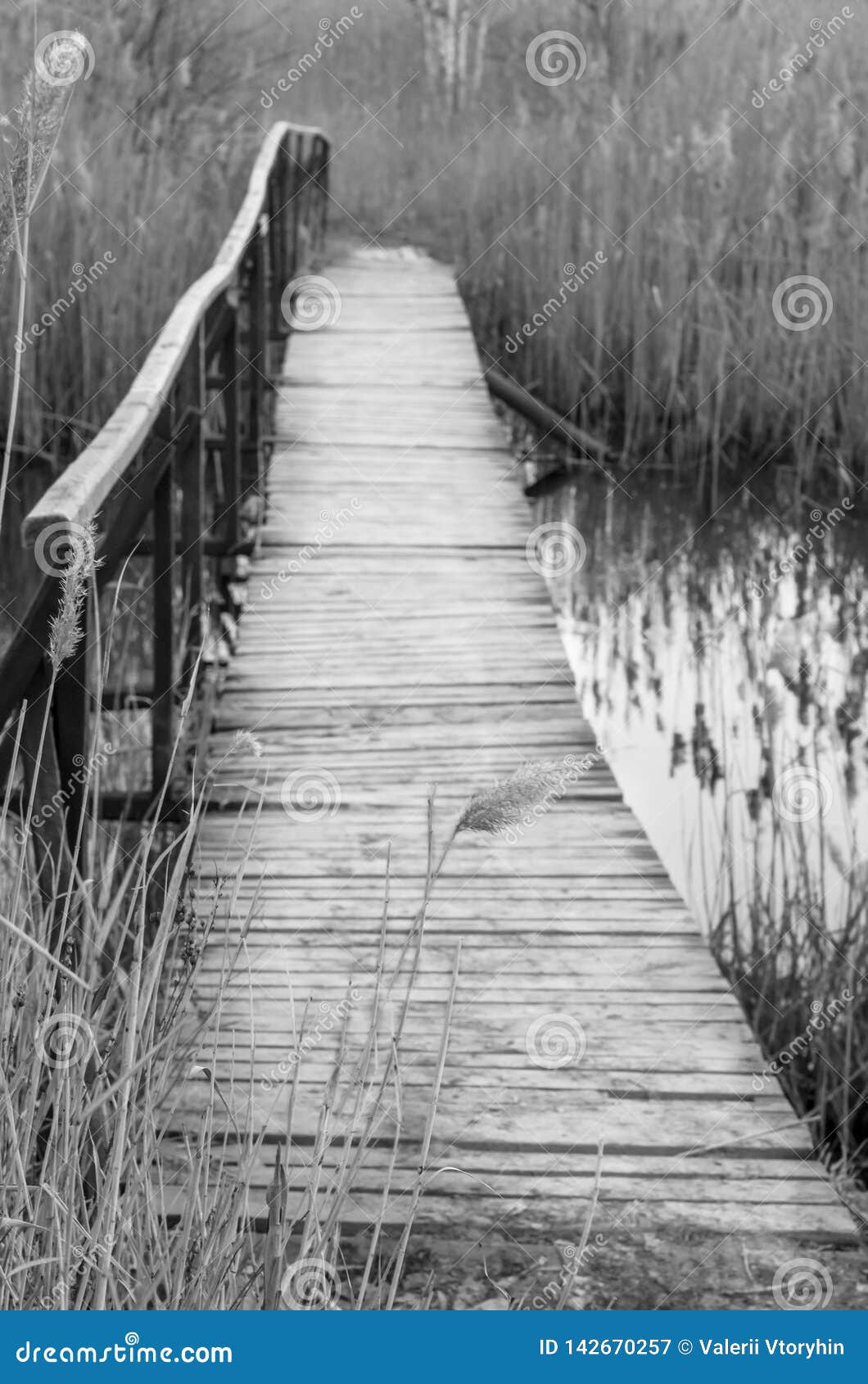 A Small Wooden Bridge Over a Small River. Stock Image - Image of ...