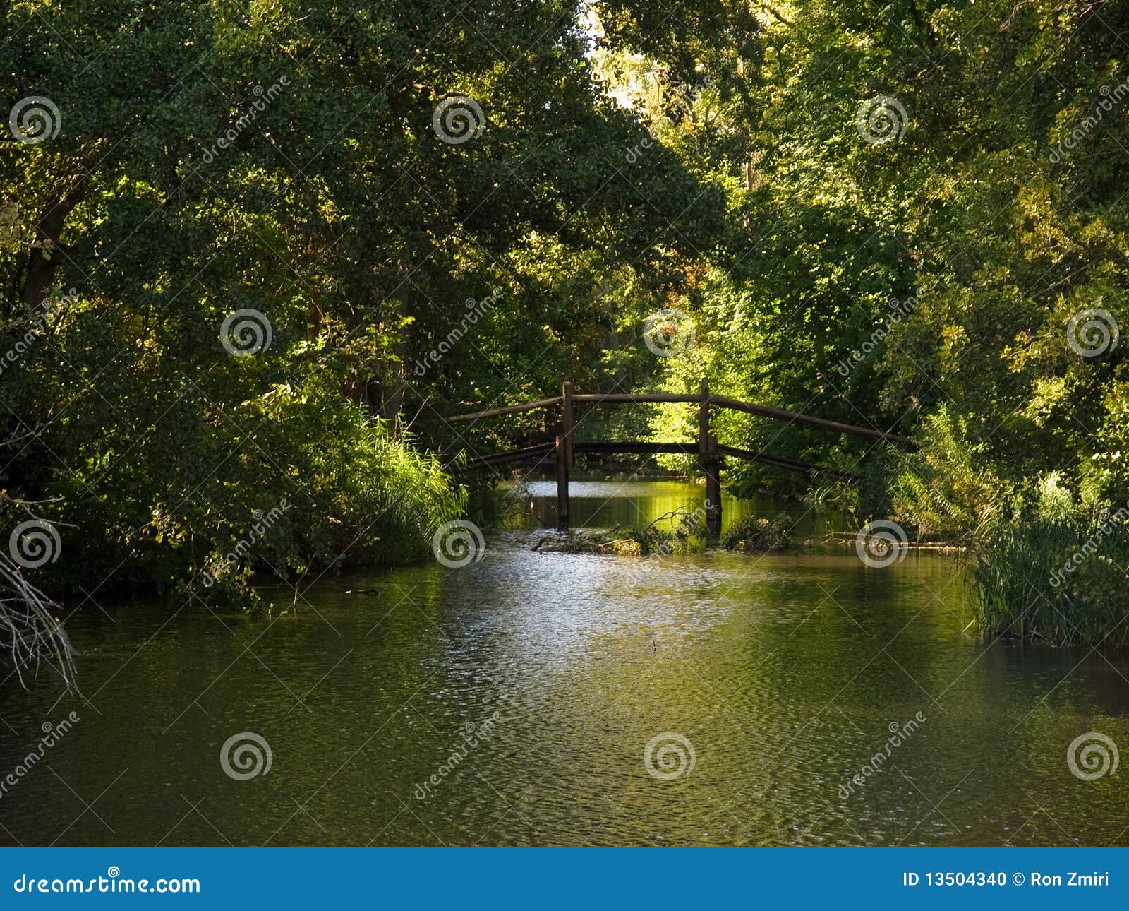 Small Wooden Bridge Over Water Stock Photo - Image of bridge, hiking ...