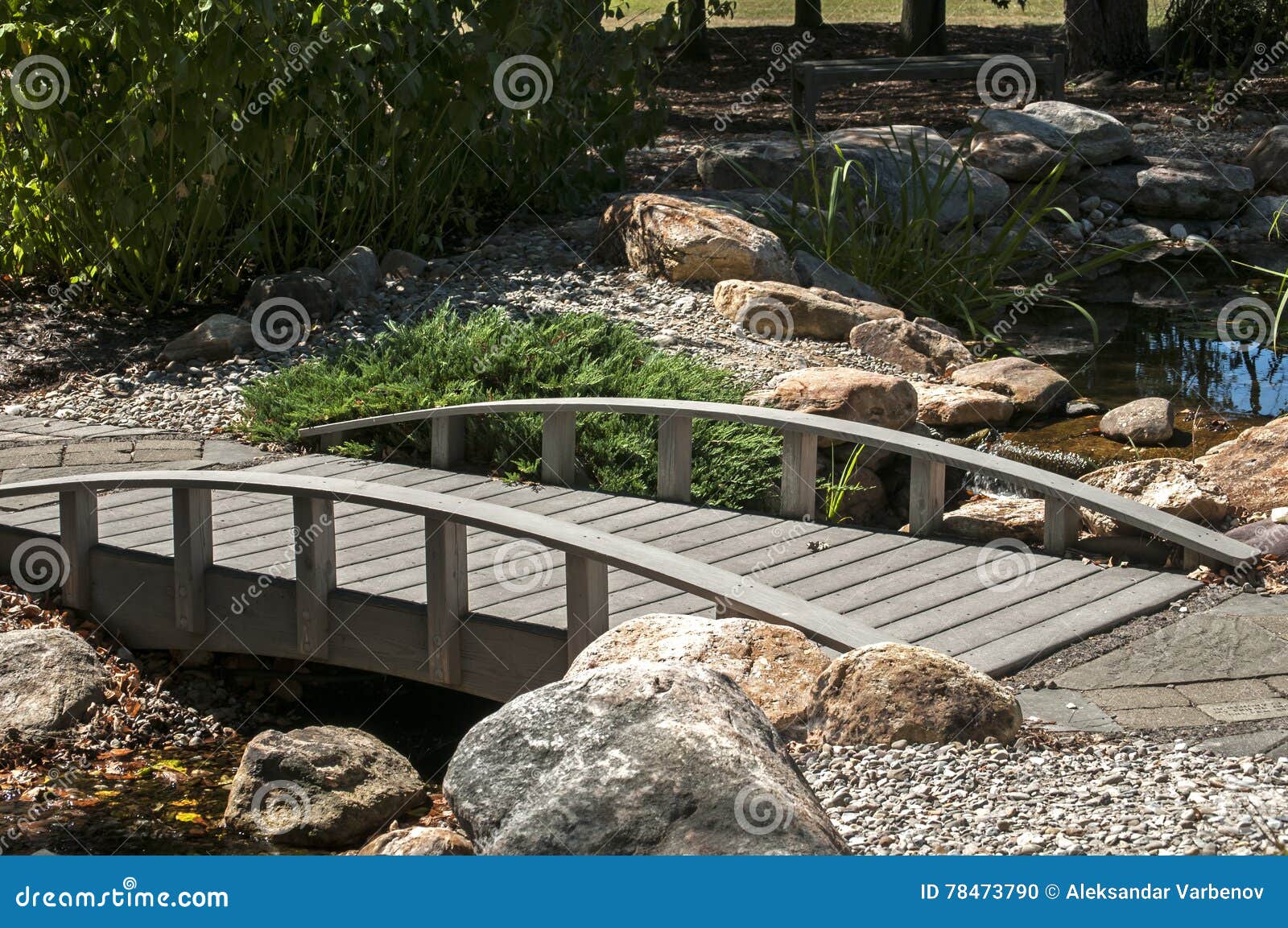 Small Wooden Bridge in Park Stock Photo - Image of scenery, forest ...