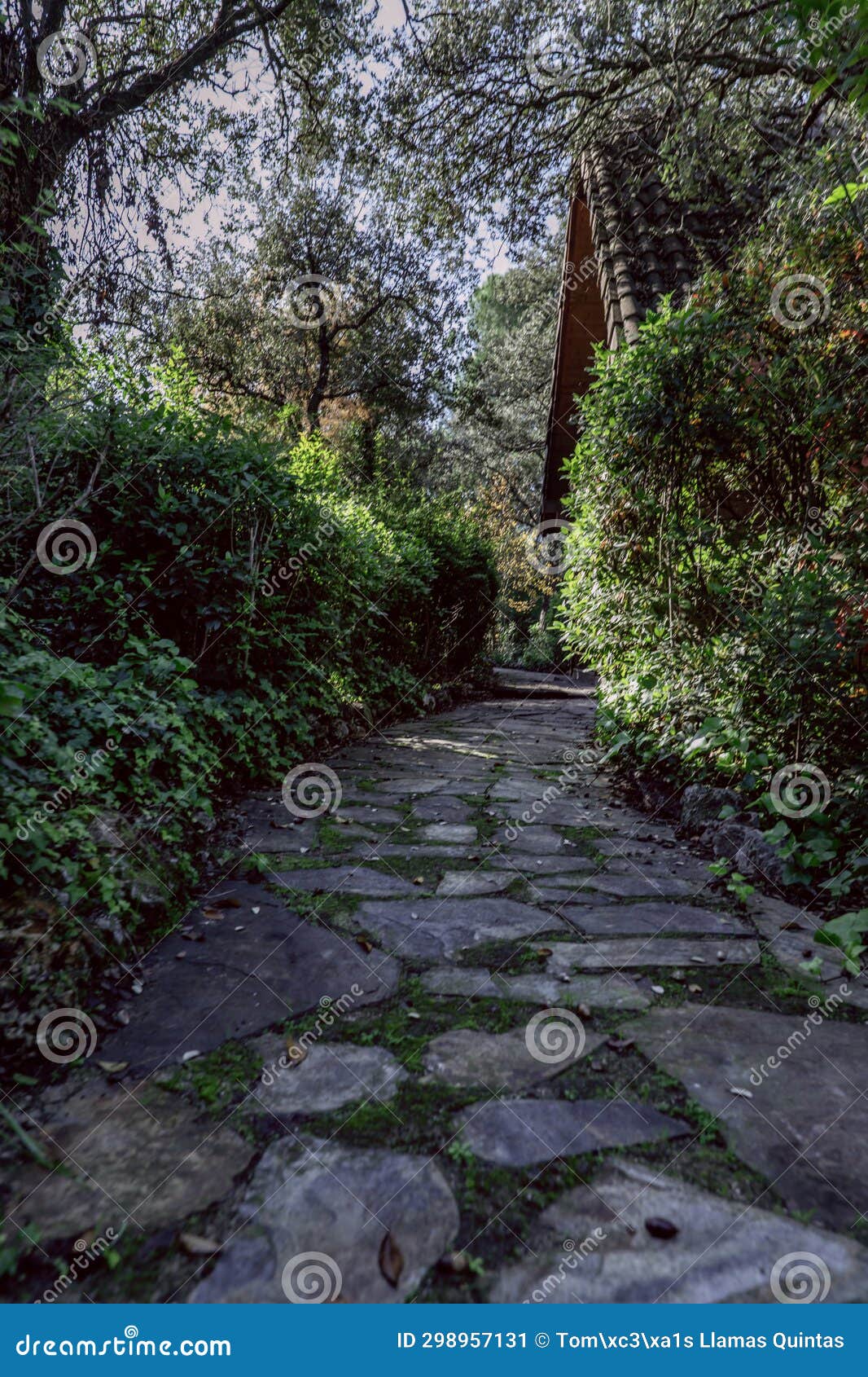 A Small Wooden Cabin at the End of a Stone-paved Path Lined with Hedges ...