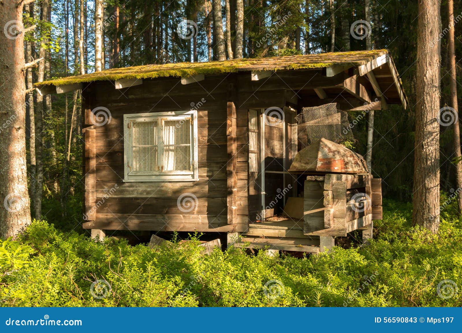 Small Wooden Cottage in Forest Stock Image - Image of ramshackle ...